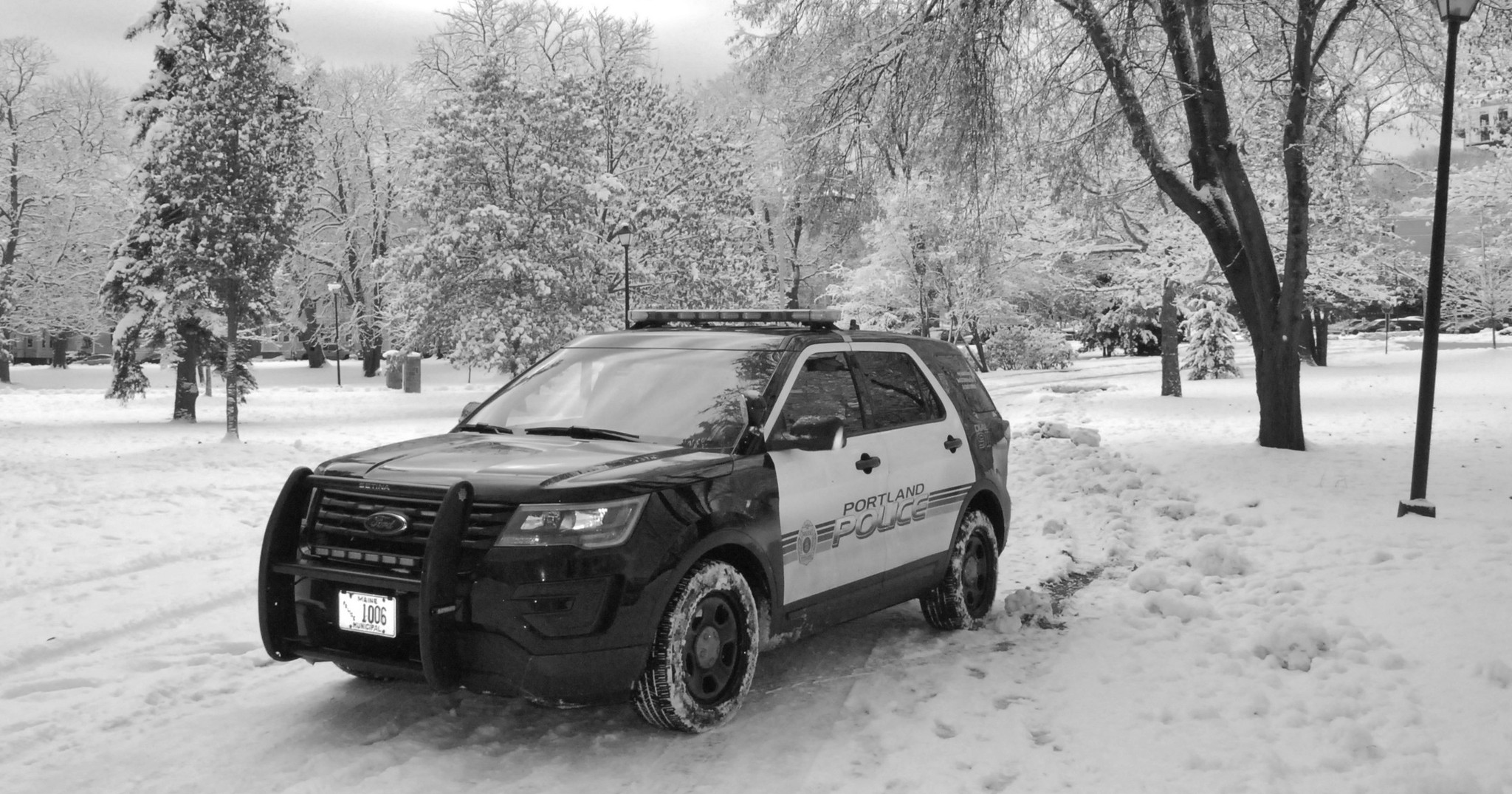 21-year-old Leads Portland Police on High-Speed Chase, Found With ...