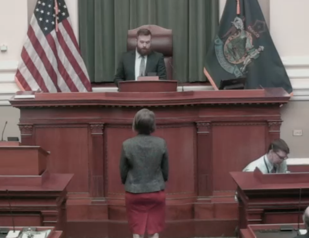 House Dems Strips Laurel Libby's Voting Rights Over Viral FB Post of ...