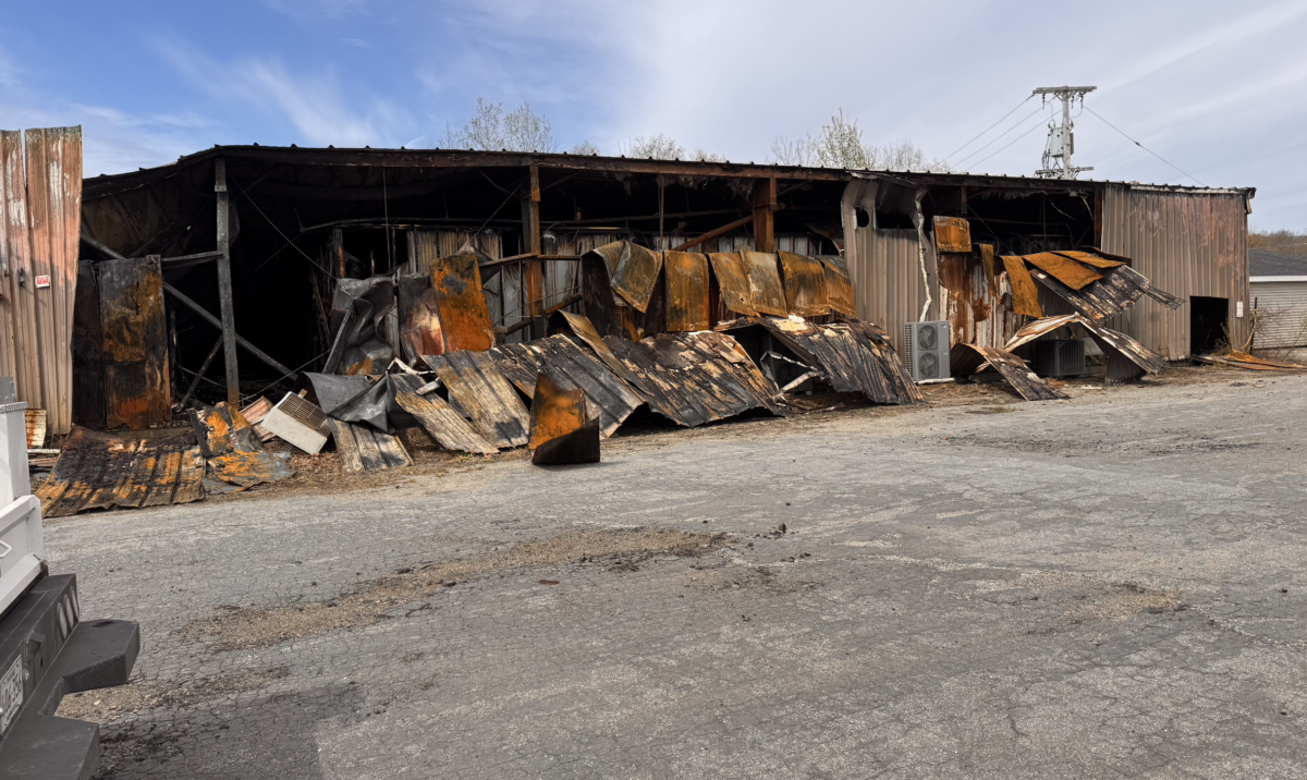 Infamous Chinese Mafia Cannabis Grow in Maine a Total Loss After ...