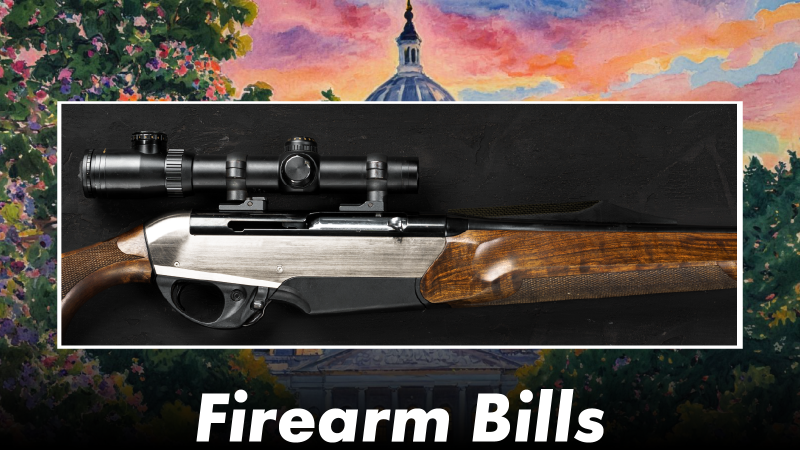 Committee Says Gun Bills Headed to Floor Will Have Serious Impacts on ...