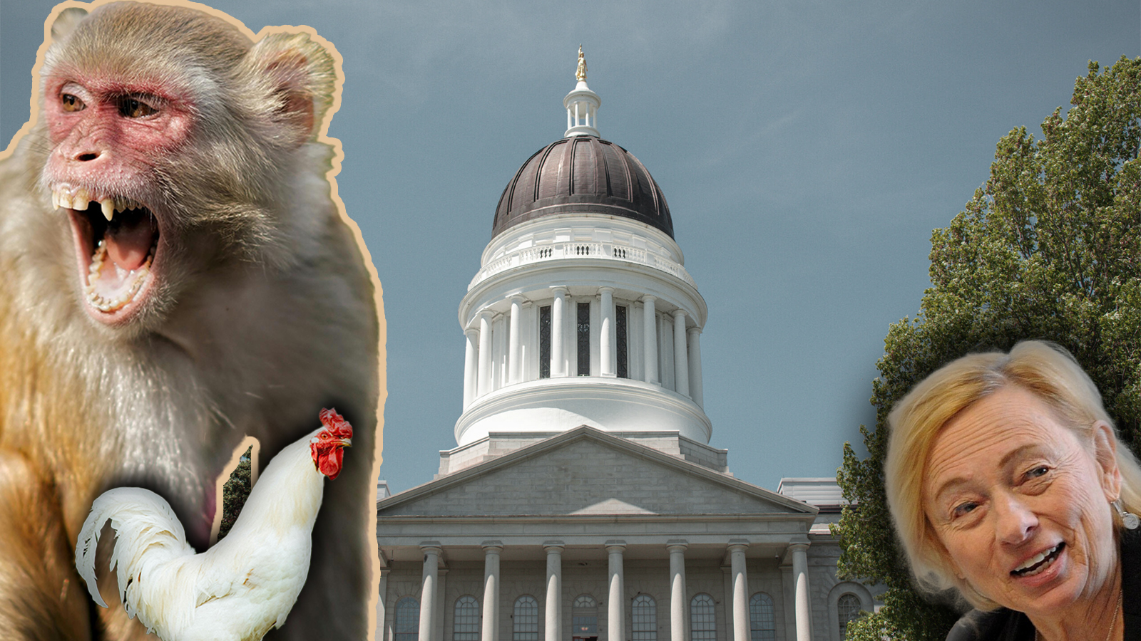 Echoes of Bill Hathaway in Mills' Quixotic Quest - The Maine Wire