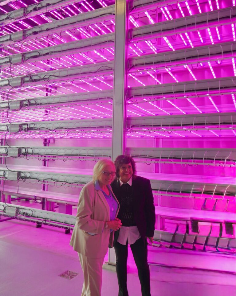 The $50 Million Salad: Green Gurus Who Landed Biden Loan Committed ...