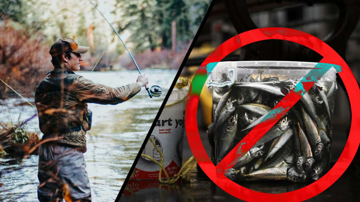 Lawsuit Pitting Maine's Right to Food Amendment Against Fly-Fishing ...